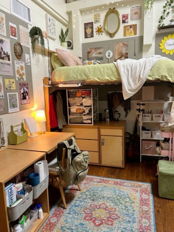 27 Best Dorm Decor Room Ideas to Kickstart College Life (2024)